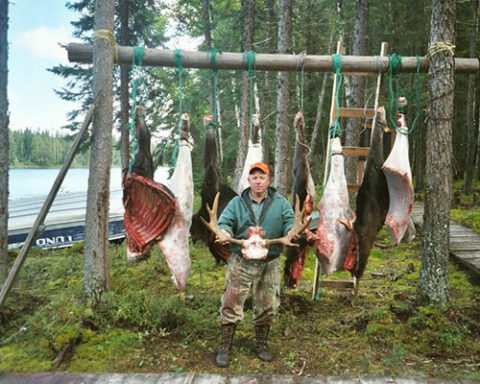 MOOSE HUNTING - Excellent Adventures