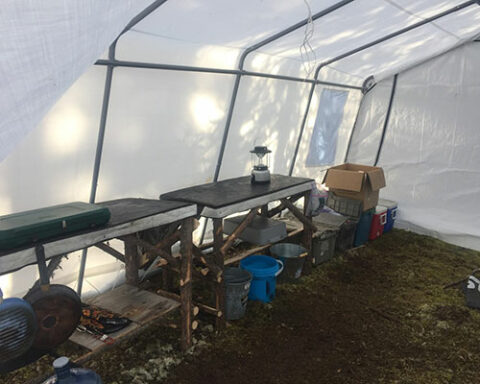 MOOSE HUNTING - Excellent Adventures