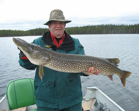 BROWNSTONE OUTPOST - Excellent Adventures