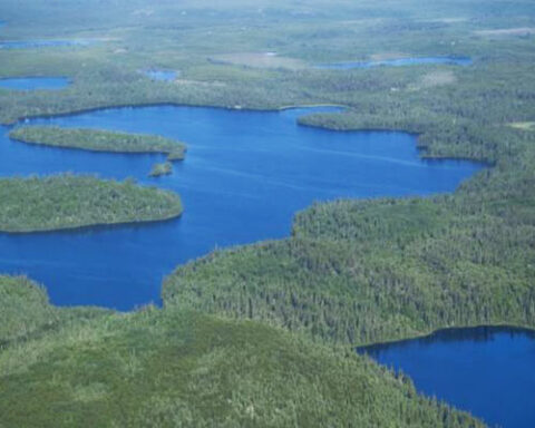 My Canadian Fly-in Fishing Trip of a Lifetime - Excellent Adventures